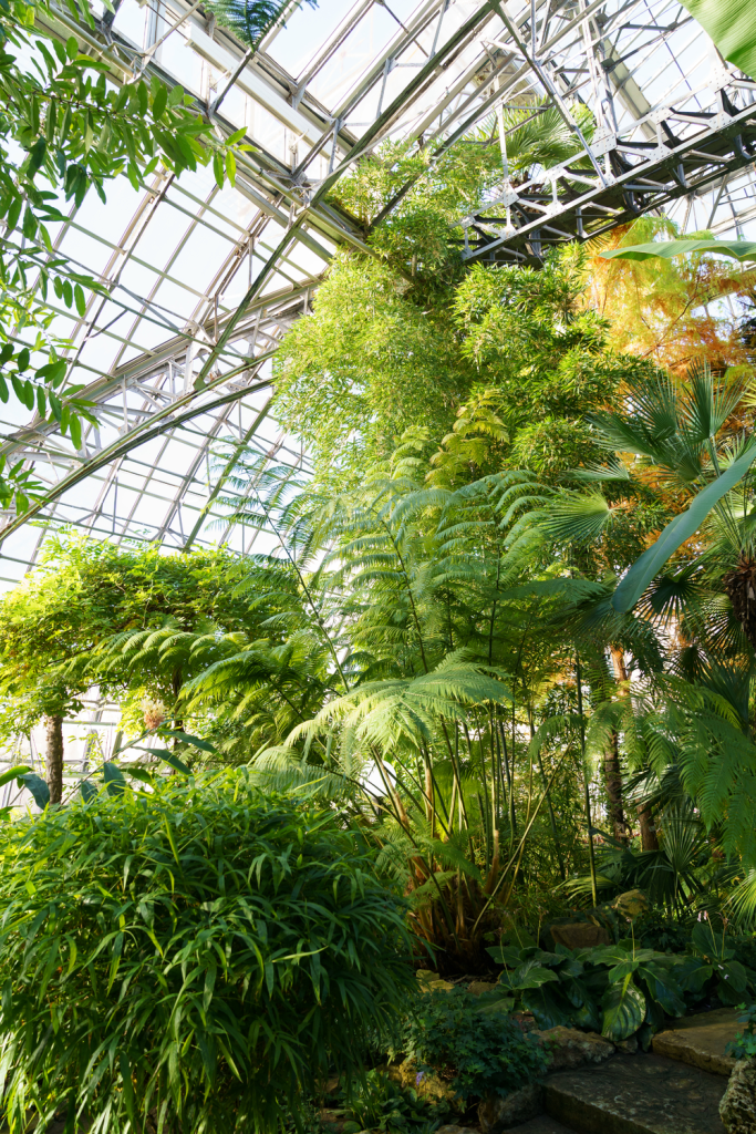 Strategic Garden Centre Development and Innovative Garden Center Design ...
